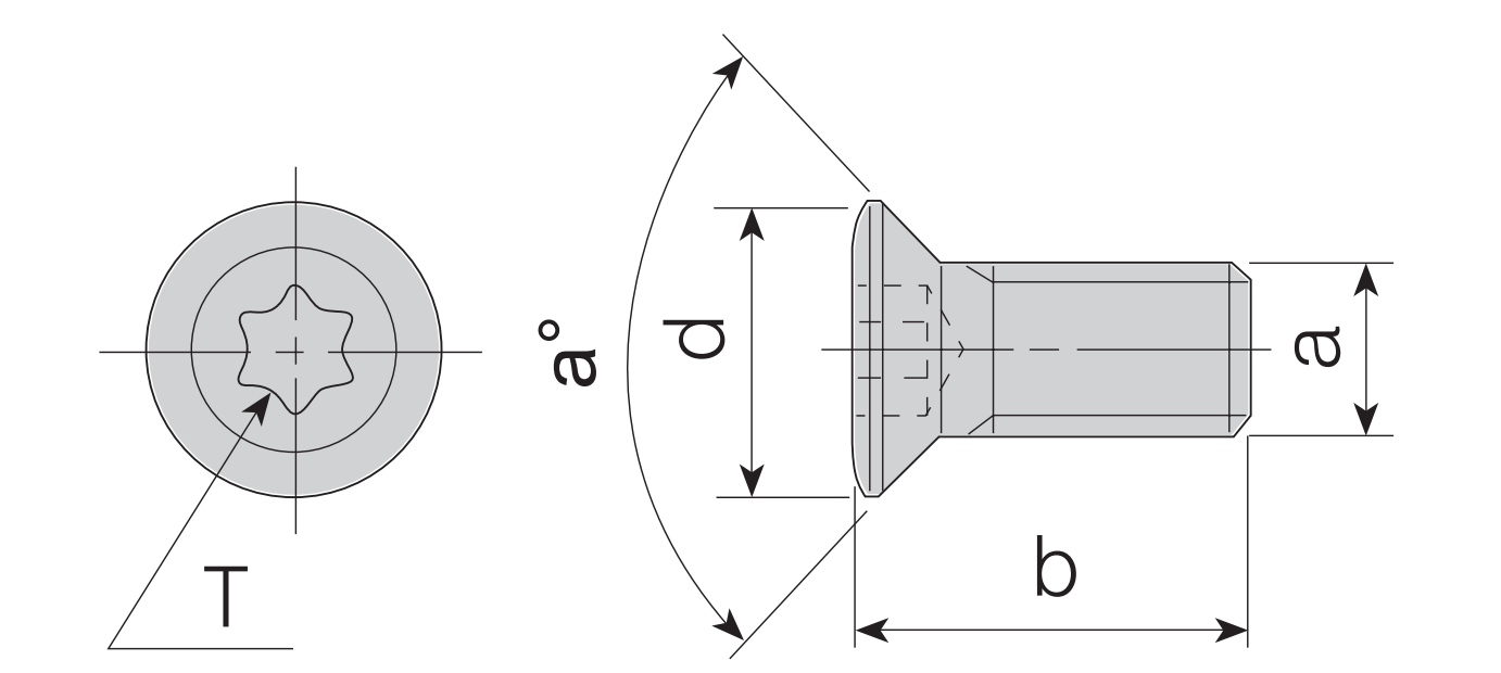 TORX-Schrauben - Bezeichnung: 4008-M2.5x4